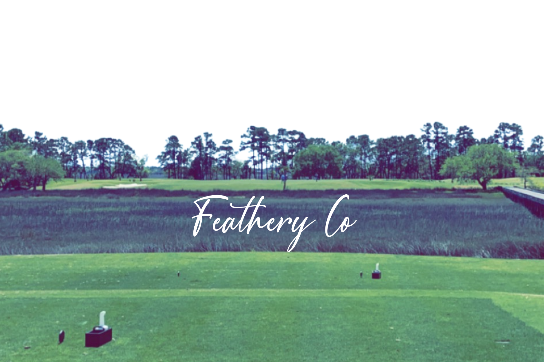 Contact – Feathery Co